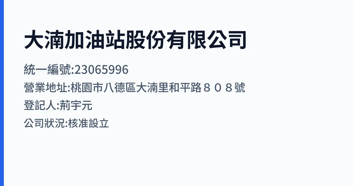 大湳加油站股份有限公司 - 統編 23065996(桃園市) 公司登記資料與營業項目詳細圖表
