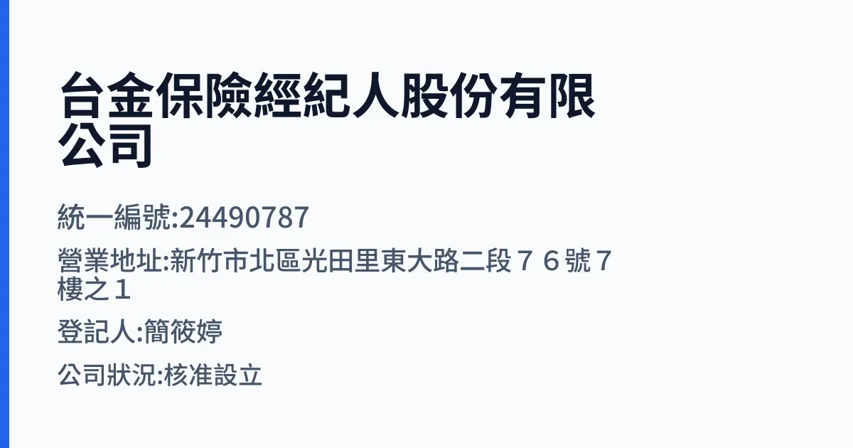 台金保險經紀人股份有限公司 - 統編 24490787(新竹市) 公司登記資料與營業項目詳細圖表