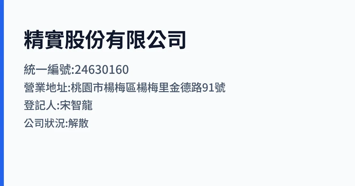 精實股份有限公司 - 統編 24630160(桃園市) 公司登記資料與營業項目詳細圖表