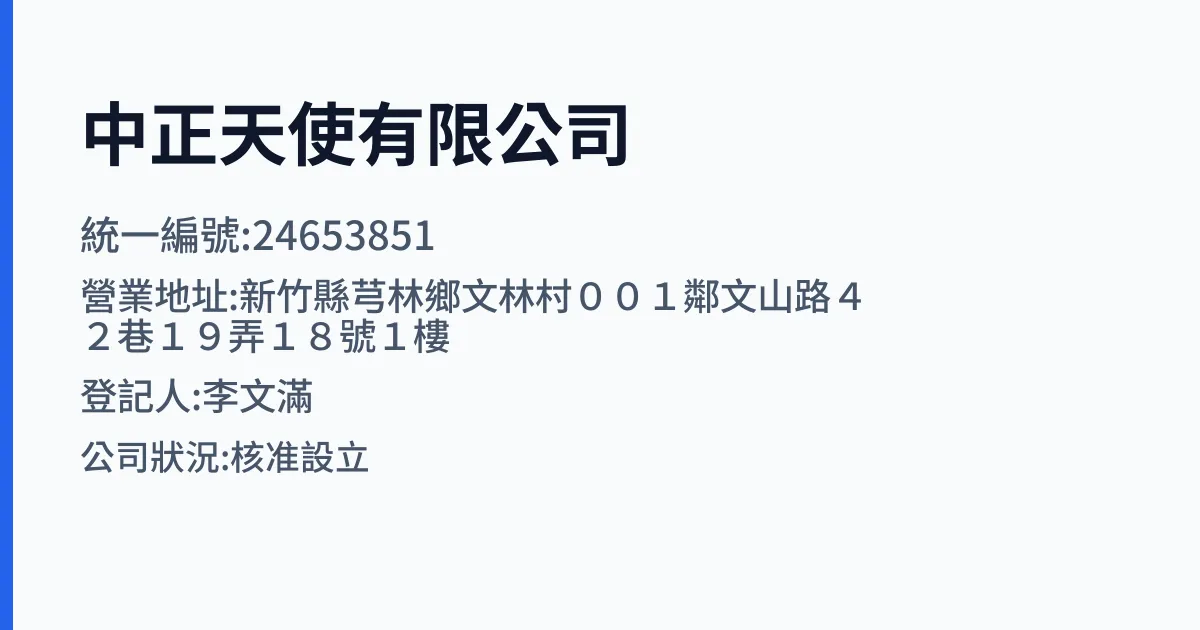 中正天使有限公司 - 統編 24653851(新竹縣) 公司登記資料與營業項目詳細圖表