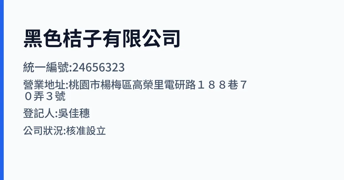 黑色桔子有限公司 - 統編 24656323(桃園市) 公司登記資料與營業項目詳細圖表