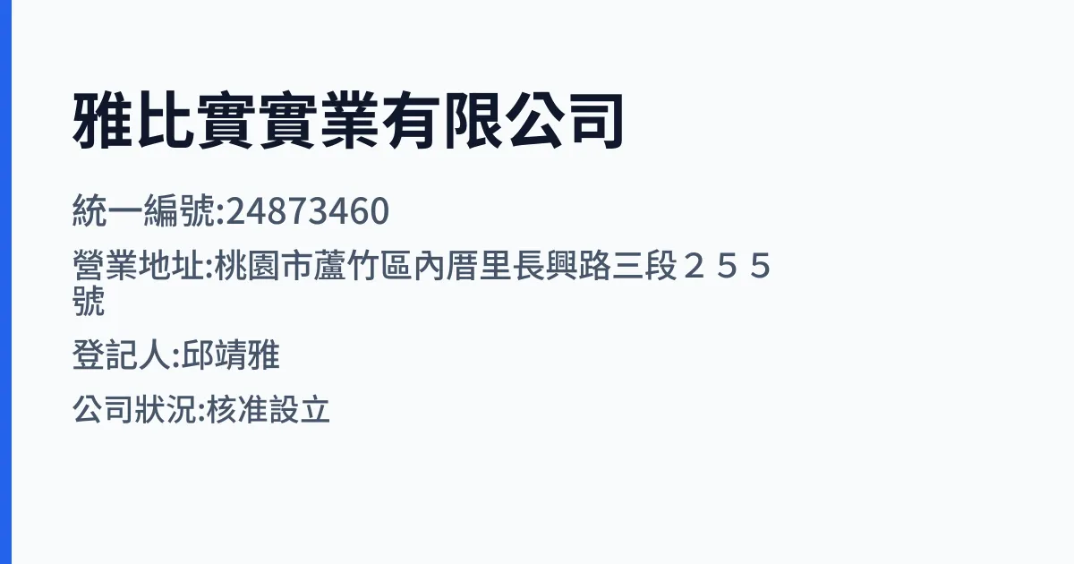 雅比實實業有限公司 - 統編 24873460(桃園市) 公司登記資料與營業項目詳細圖表