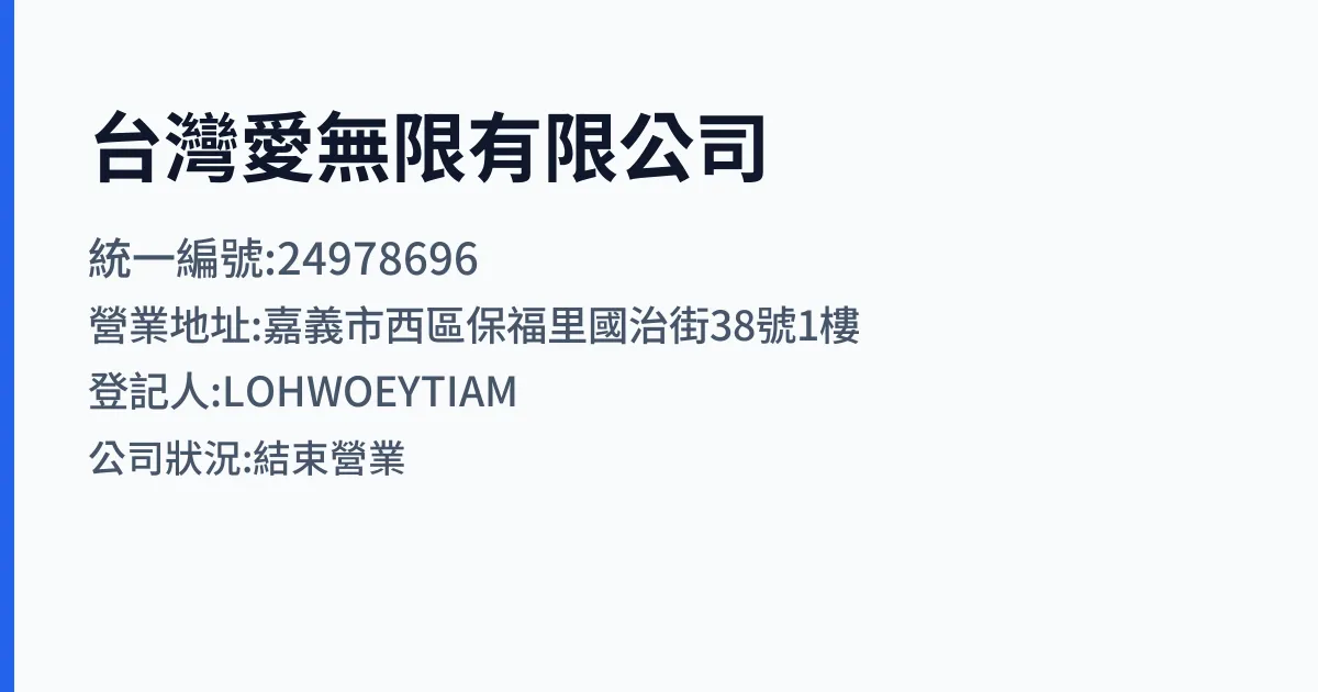 台灣愛無限有限公司 - 統編 24978696(嘉義市) 公司登記資料與營業項目詳細圖表