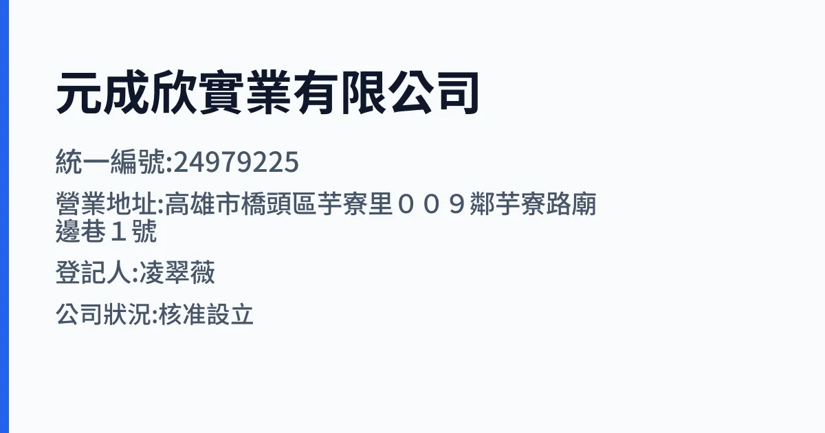 元成欣實業有限公司 - 統編 24979225(高雄市) 公司登記資料與營業項目詳細圖表