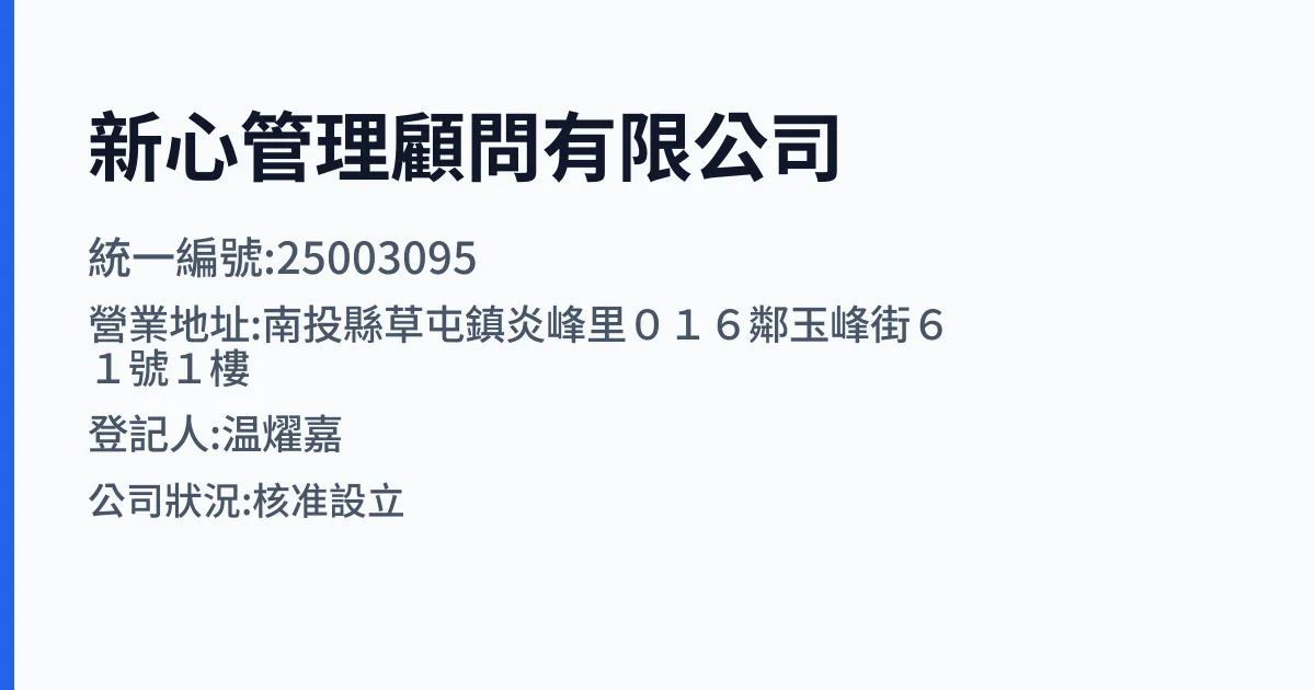 新心管理顧問有限公司 - 統編 25003095(南投縣) 公司登記資料與營業項目詳細圖表