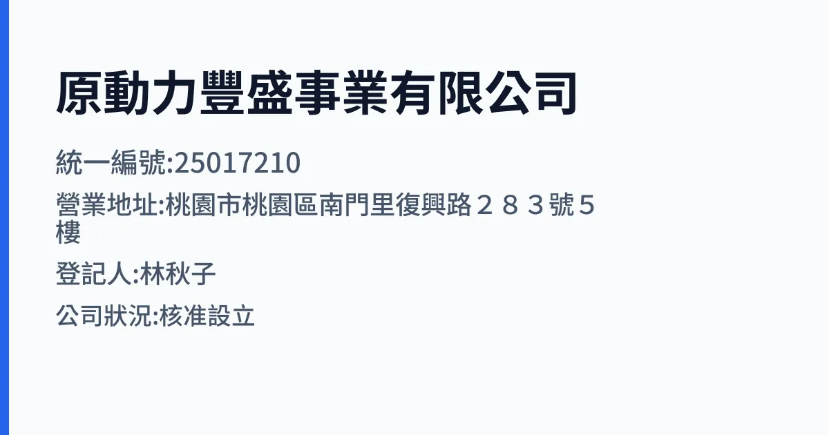 原動力豐盛事業有限公司 - 統編 25017210(桃園市) 公司登記資料與營業項目詳細圖表