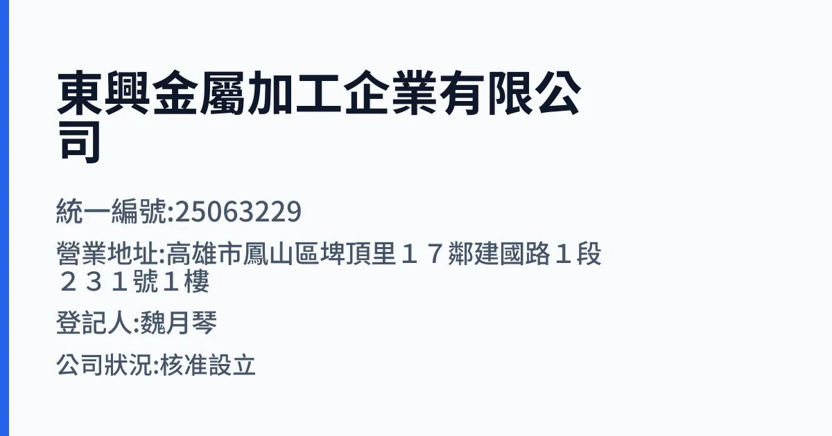 東興金屬加工企業有限公司 - 統編 25063229(高雄市) 公司登記資料與營業項目詳細圖表