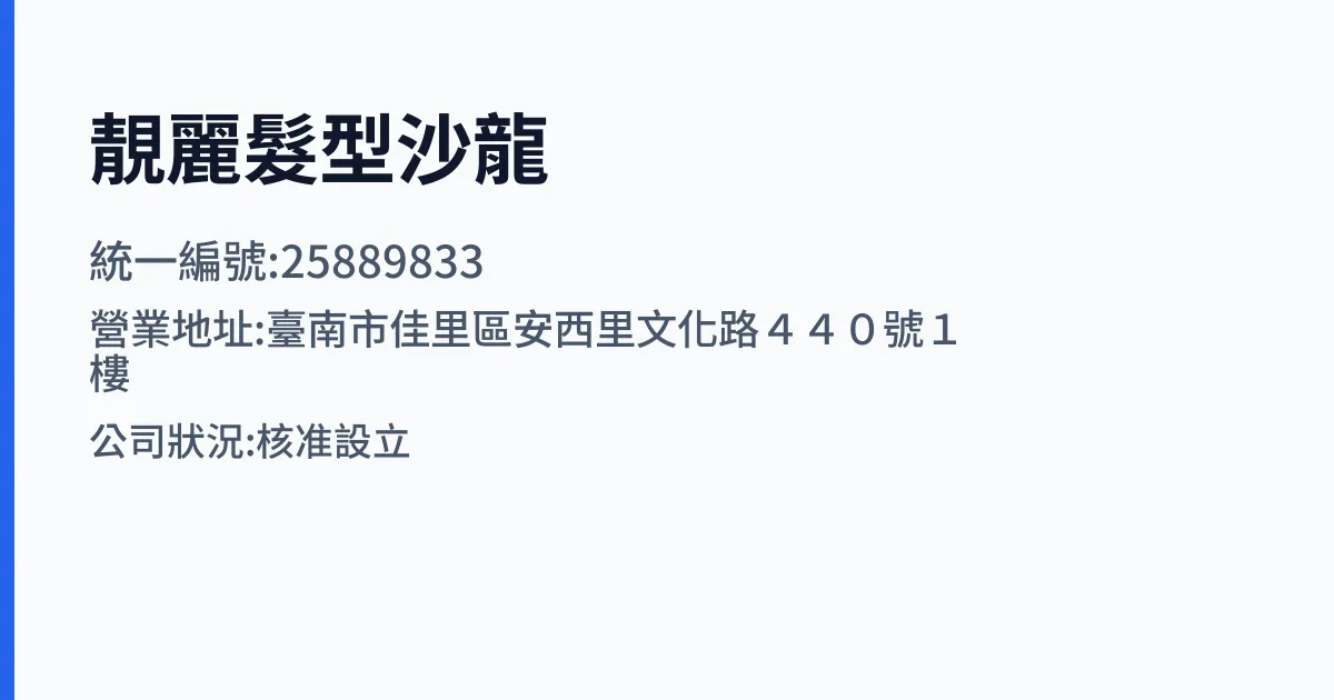 靚麗髮型沙龍 - 統編 25889833(臺南市) 公司登記資料與營業項目詳細圖表