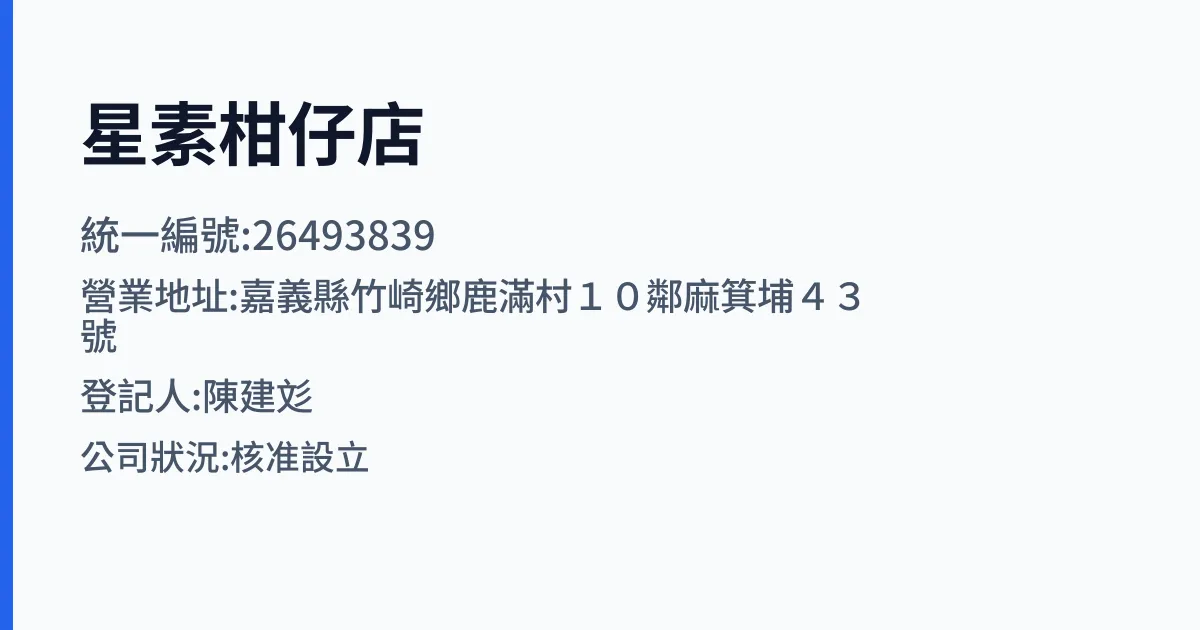 星素柑仔店 - 統編 26493839（嘉義縣） 公司登記資料與營業項目詳細圖表