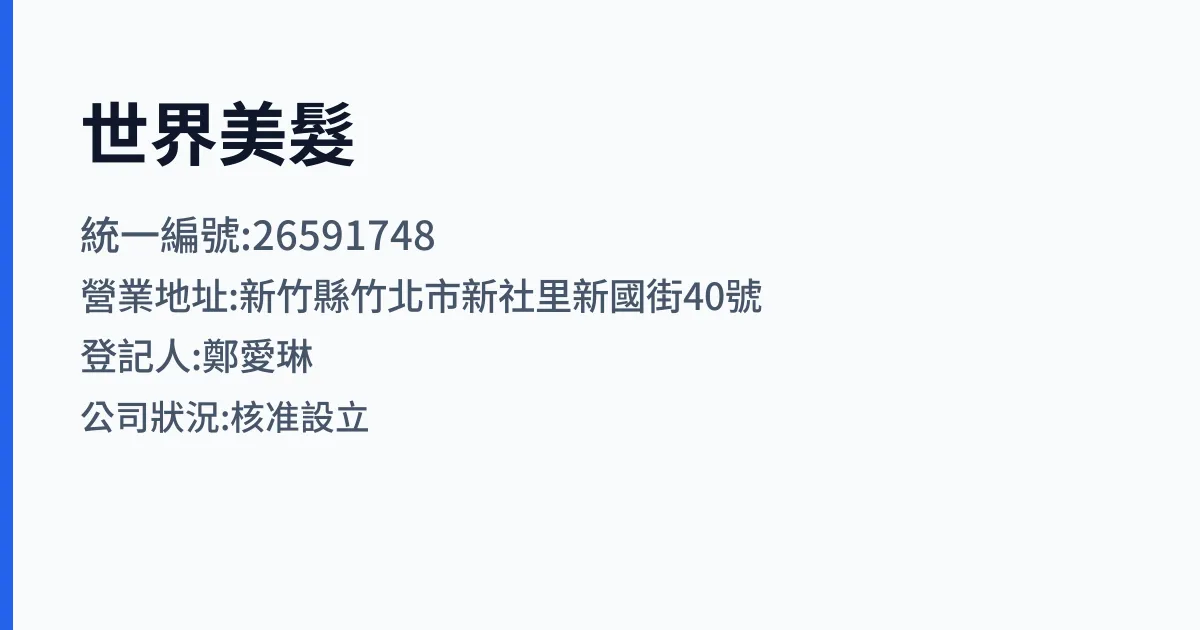 世界美髮 - 統編 26591748(新竹縣) 公司登記資料與營業項目詳細圖表