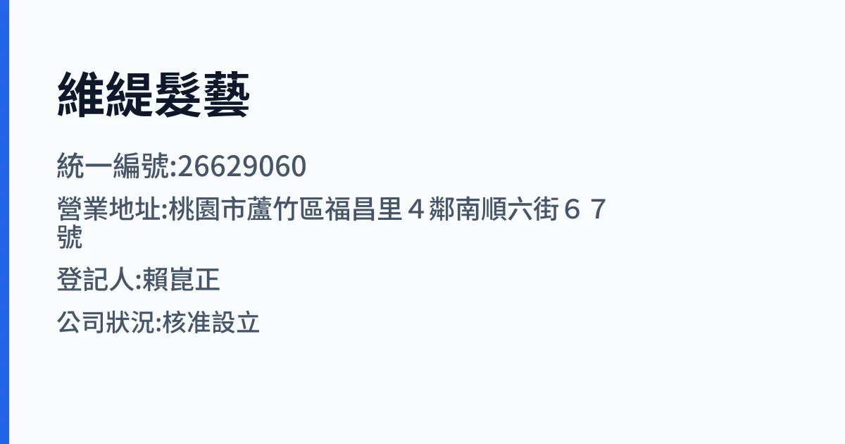 維緹髮藝 - 統編 26629060(桃園市) 公司登記資料與營業項目詳細圖表
