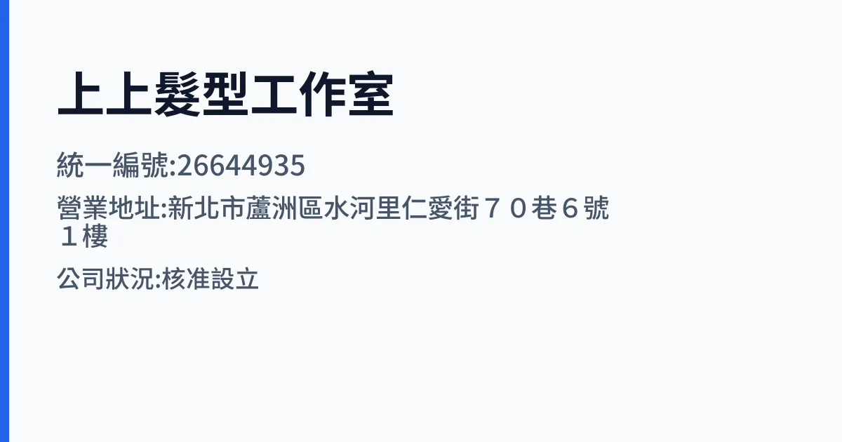 上上髮型工作室 - 統編 26644935(新北市) 公司登記資料與營業項目詳細圖表