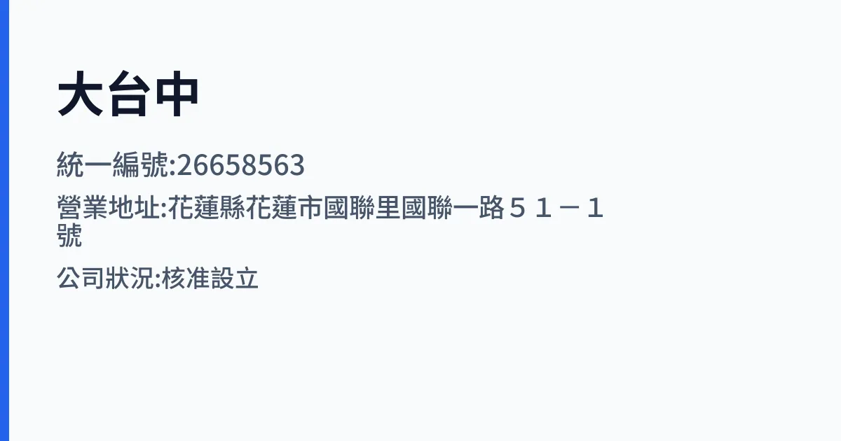 大台中 - 統編 26658563(花蓮縣) 公司登記資料與營業項目詳細圖表