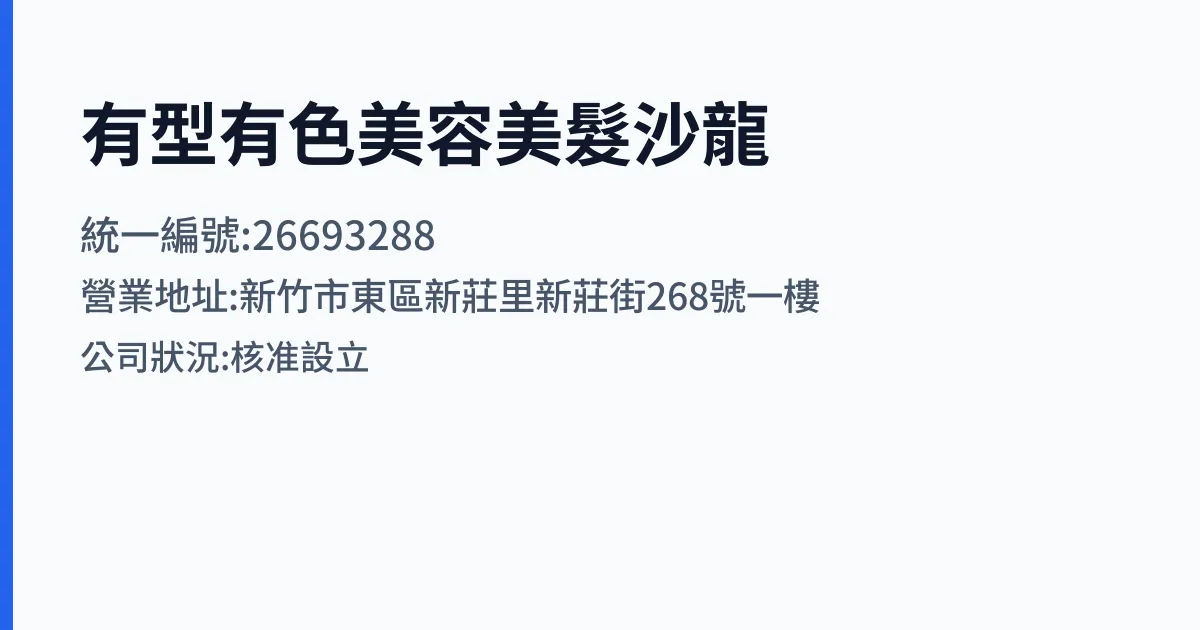 有型有色美容美髮沙龍 - 統編 26693288(新竹市) 公司登記資料與營業項目詳細圖表