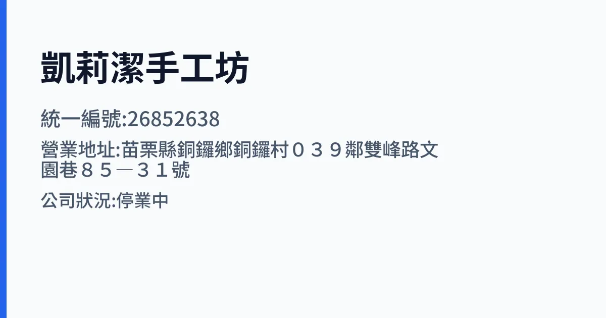 凱莉潔手工坊 - 統編 26852638(苗栗縣) 公司登記資料與營業項目詳細圖表