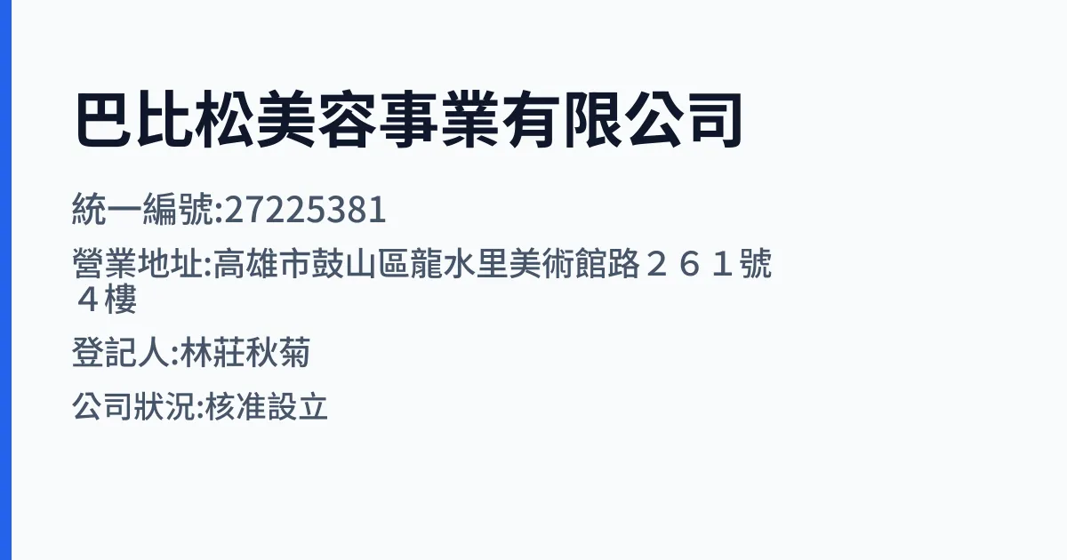 巴比松美容事業有限公司 - 統編 27225381(高雄市) 公司登記資料與營業項目詳細圖表