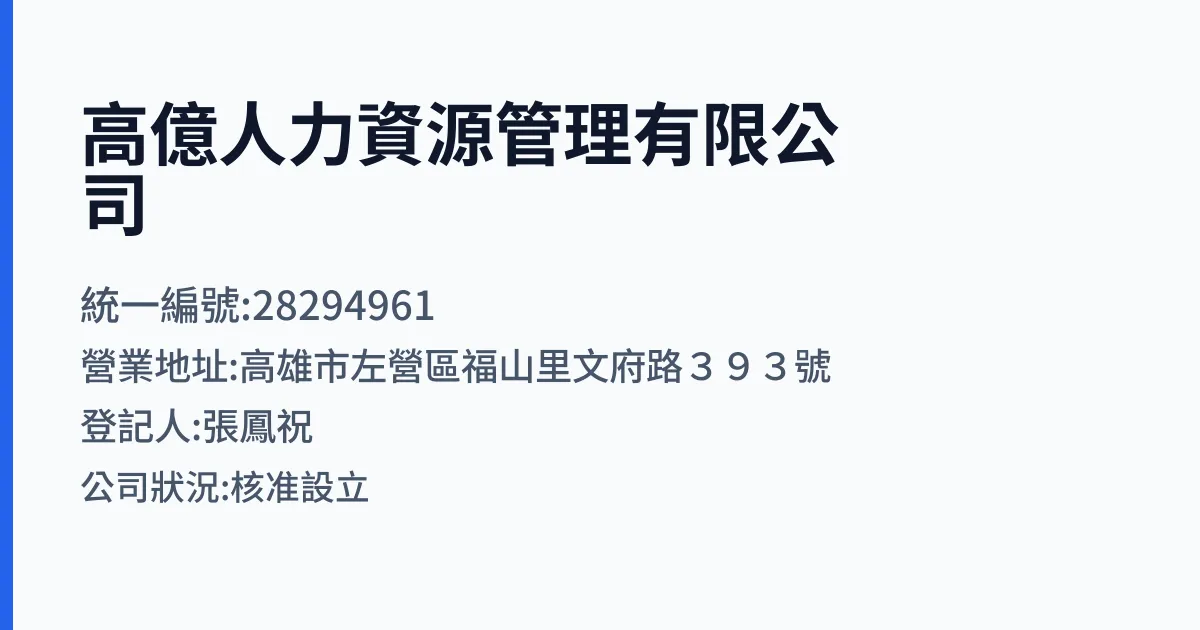 高億人力資源管理有限公司 - 統編 28294961(高雄市) 公司登記資料與營業項目詳細圖表