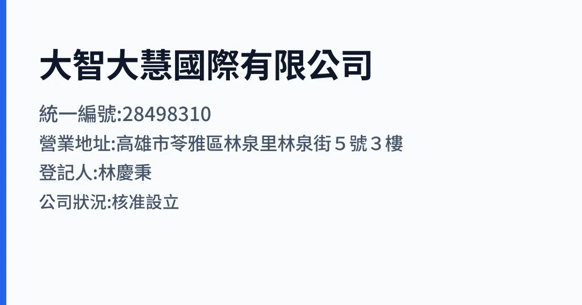 大智大慧國際有限公司 - 統編 28498310(高雄市) 公司登記資料與營業項目詳細圖表