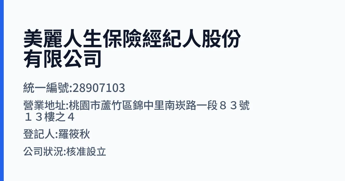 美麗人生保險經紀人股份有限公司 - 統編 28907103(桃園市) 公司登記資料與營業項目詳細圖表