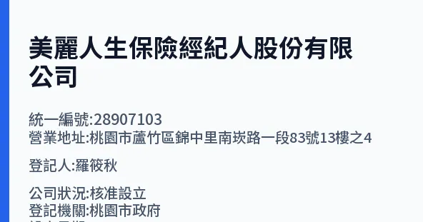 美麗人生保險經紀人股份有限公司的照片-統編 28907103(桃園市) 公司登記資料與營業項目詳細圖表