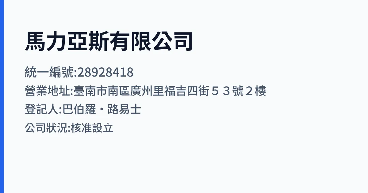 馬力亞斯有限公司 - 統編 28928418（臺南市） 公司登記資料與營業項目詳細圖表