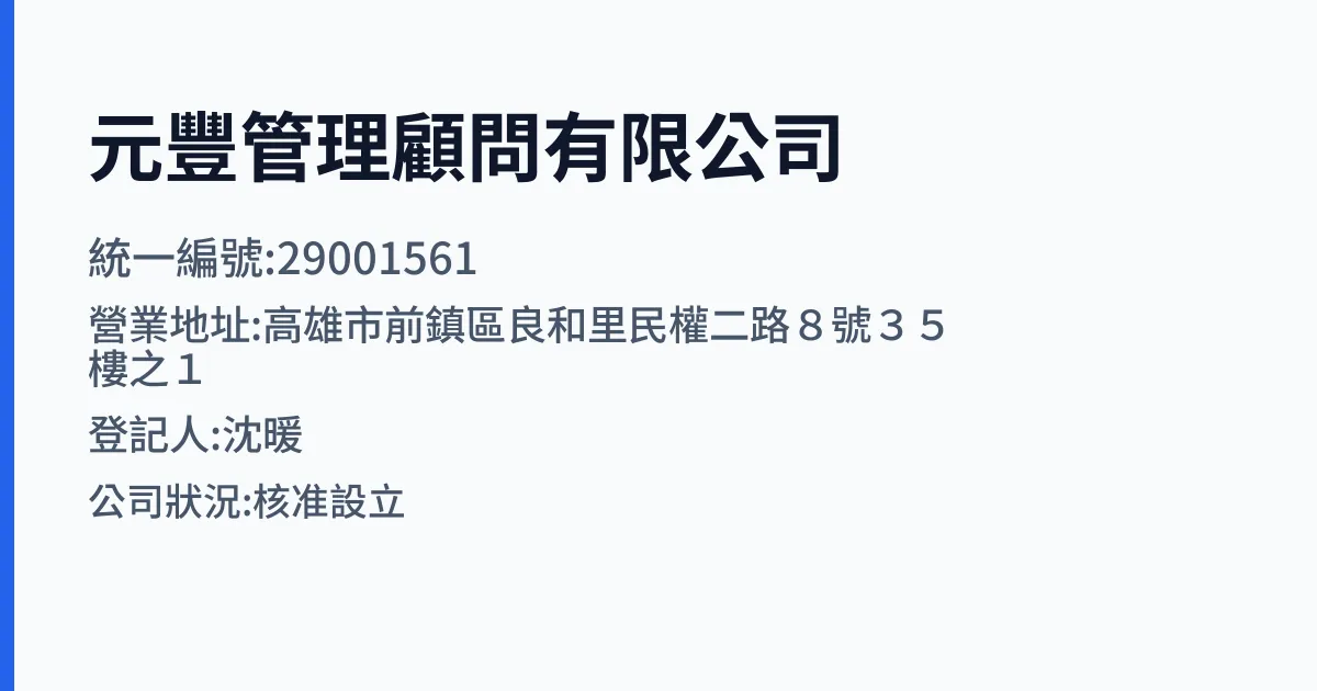 元豐管理顧問有限公司 - 統編 29001561(高雄市) 公司登記資料與營業項目詳細圖表
