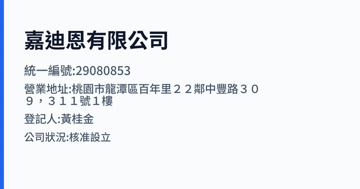 嘉迪恩有限公司 - 統編 29080853(桃園市) 公司登記資料與營業項目詳細圖表