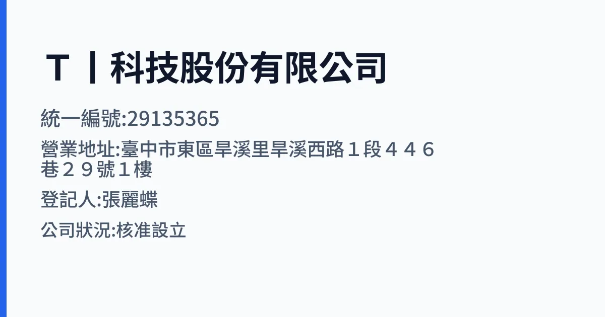 T丨科技股份有限公司 - 統編 29135365(臺中市) 公司登記資料與營業項目詳細圖表