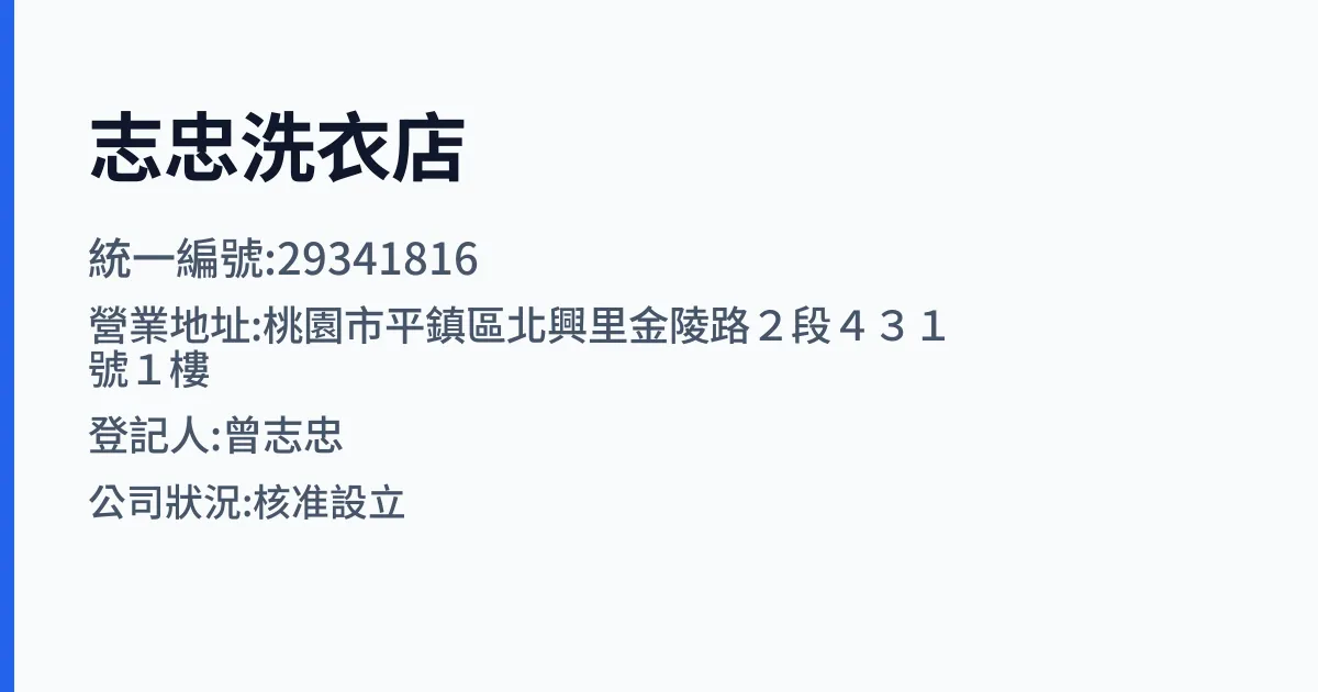志忠洗衣店 - 統編 29341816（桃園市） 公司登記資料與營業項目詳細圖表