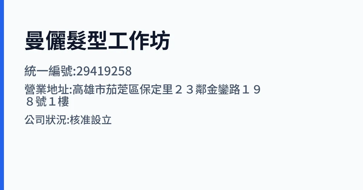 曼儷髮型工作坊 - 統編 29419258(高雄市) 公司登記資料與營業項目詳細圖表