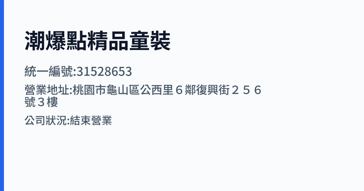 潮爆點精品童裝 - 統編 31528653(桃園市) 公司登記資料與營業項目詳細圖表