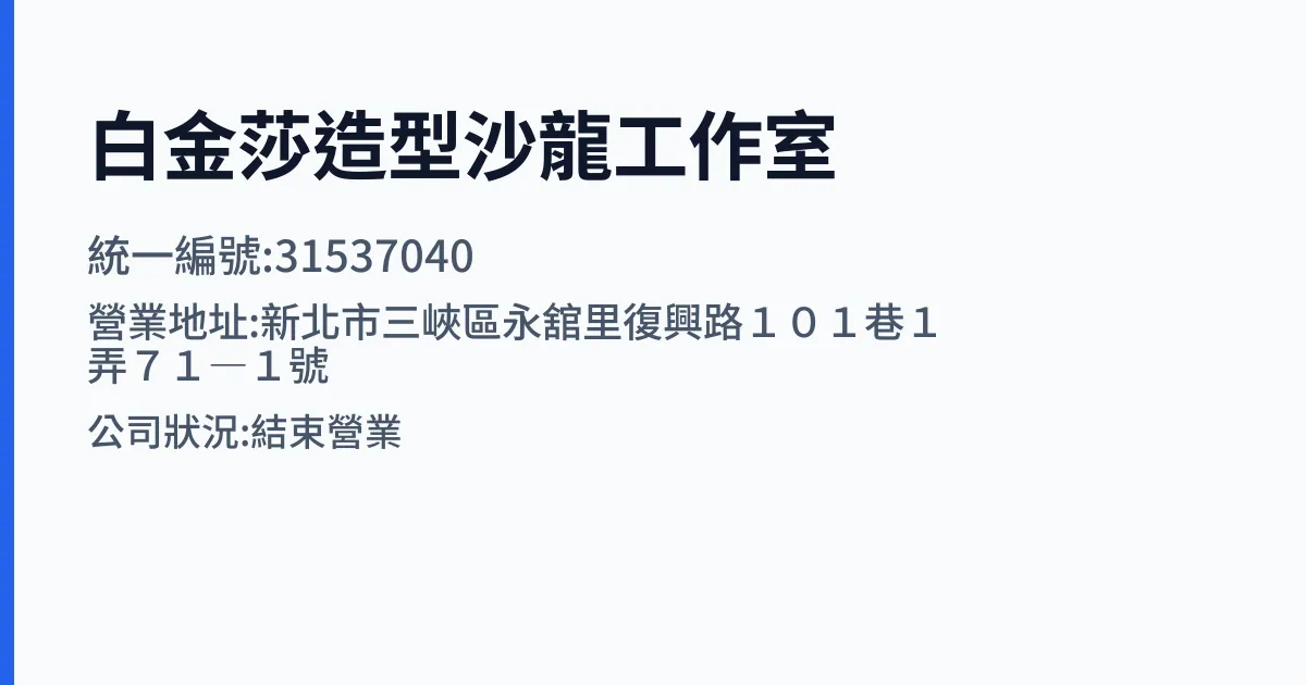 白金莎造型沙龍工作室 - 統編 31537040(新北市) 公司登記資料與營業項目詳細圖表