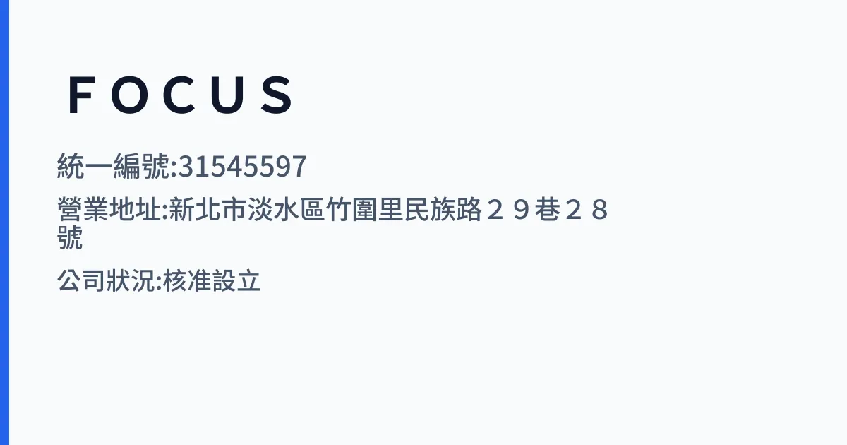 FOCUS - 統編 31545597(新北市) 公司登記資料與營業項目詳細圖表
