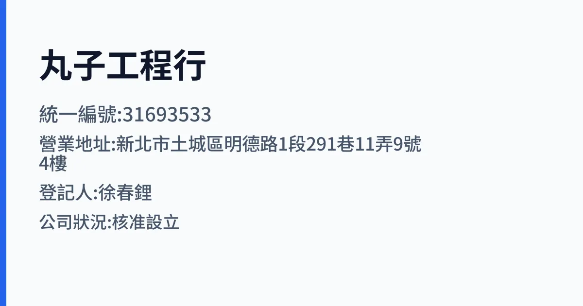 丸子工程行 - 統編 31693533(新北市) 公司登記資料與營業項目詳細圖表