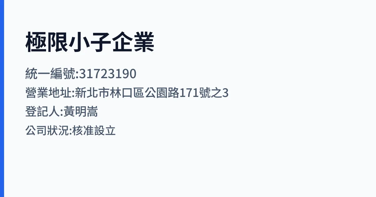 極限小子企業 - 統編 31723190(新北市) 公司登記資料與營業項目詳細圖表