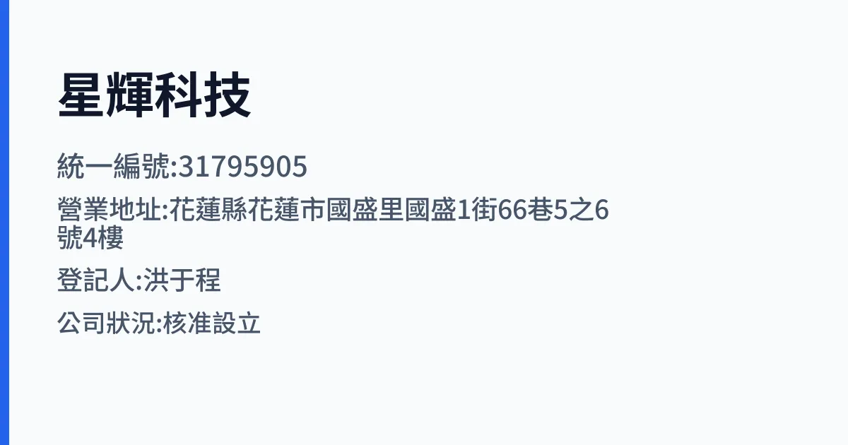 星輝科技 - 統編 31795905(花蓮縣) 公司登記資料與營業項目詳細圖表