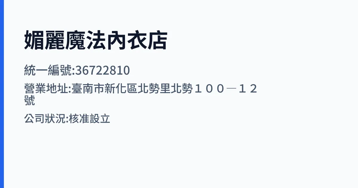 媚麗魔法內衣店 - 統編 36722810(臺南市) 公司登記資料與營業項目詳細圖表