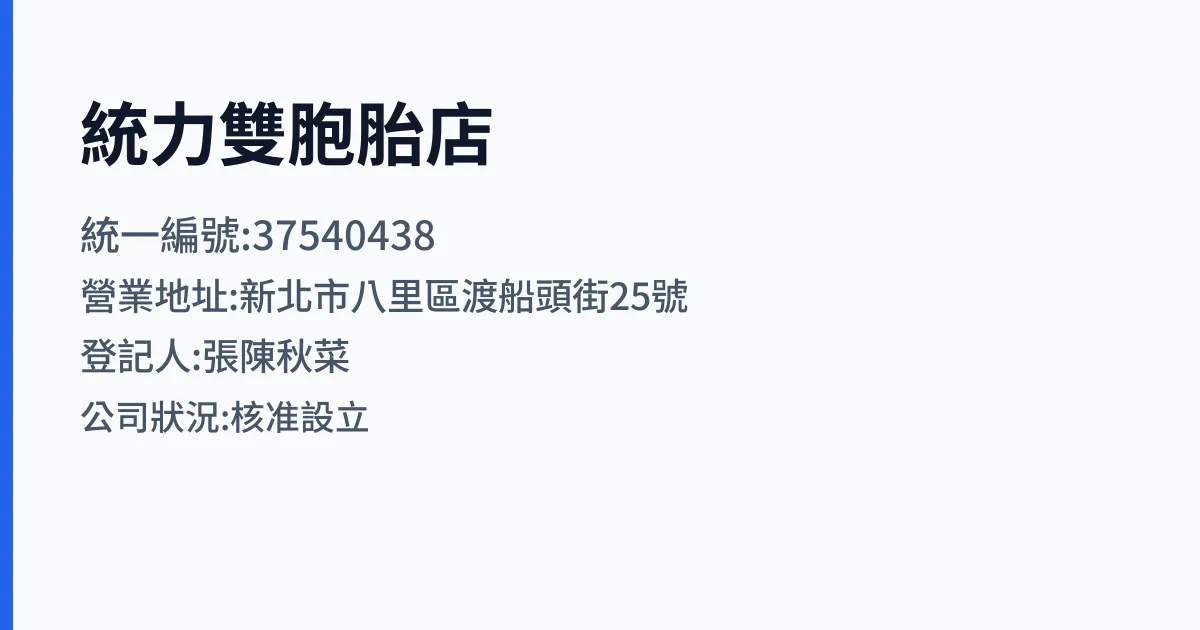 統力雙胞胎店 - 統編 37540438（新北市） 公司登記資料與營業項目詳細圖表