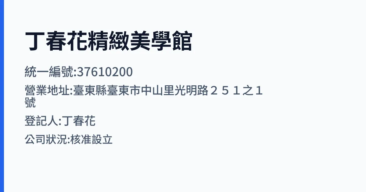 丁春花精緻美學館 - 統編 37610200(臺東縣) 公司登記資料與營業項目詳細圖表