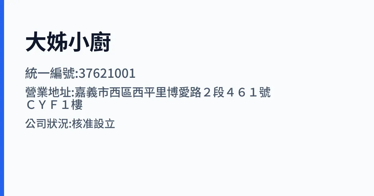 大姊小廚 - 統編 37621001(嘉義市) 公司登記資料與營業項目詳細圖表
