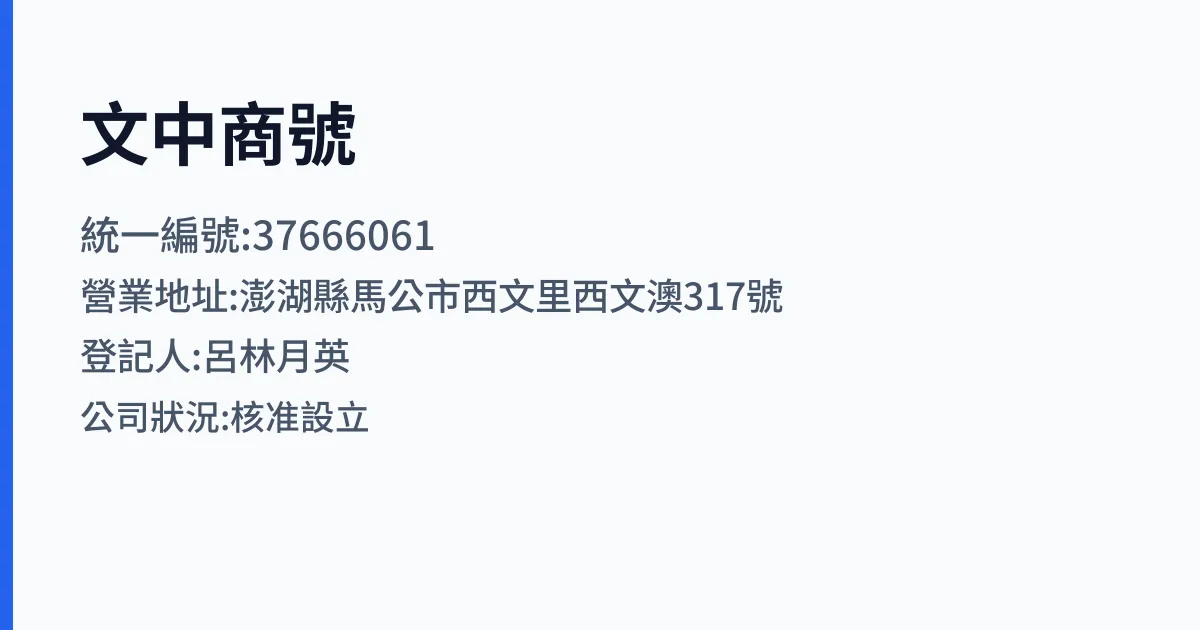 文中商號 - 統編 37666061(澎湖縣) 公司登記資料與營業項目詳細圖表