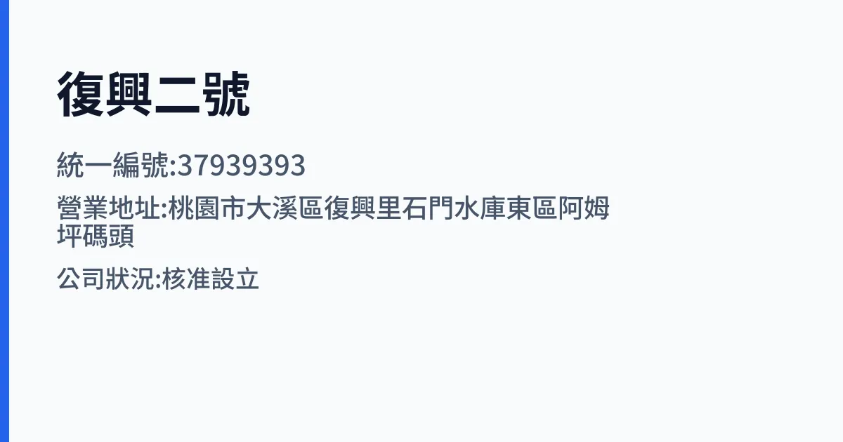 復興二號 - 統編 37939393(桃園市) 公司登記資料與營業項目詳細圖表