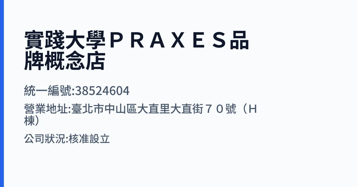 實踐大學ＰＲＡＸＥＳ品牌概念店 - 統編 38524604(臺北市) 公司登記資料與營業項目詳細圖表