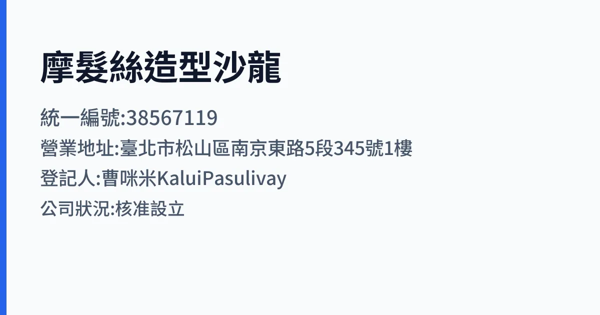 摩髮絲造型沙龍 - 統編 38567119(臺北市) 公司登記資料與營業項目詳細圖表