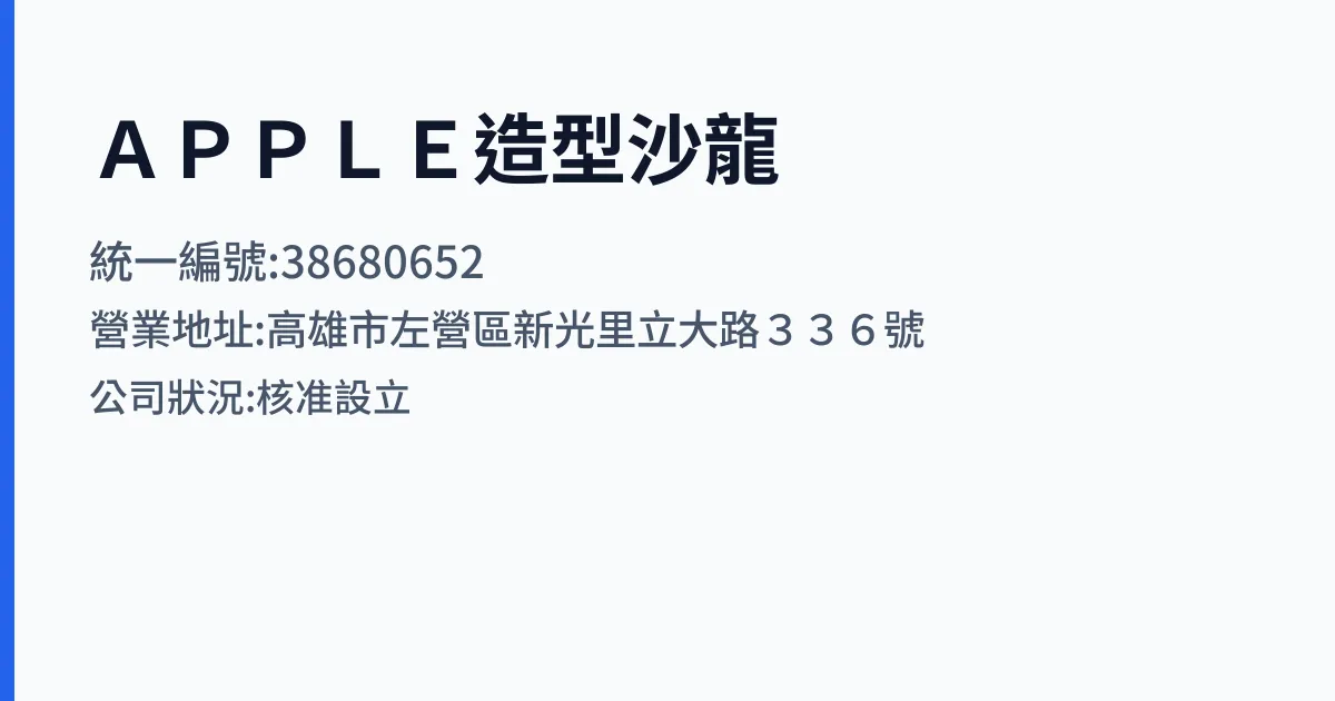 ＡＰＰＬＥ造型沙龍 - 統編 38680652(高雄市) 公司登記資料與營業項目詳細圖表