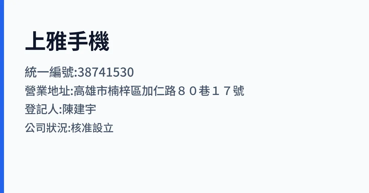上雅手機 - 統編 38741530(高雄市) 公司登記資料與營業項目詳細圖表