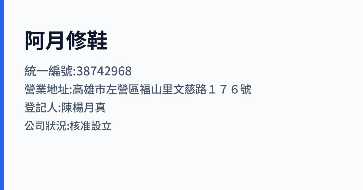 阿月修鞋 - 統編 38742968(高雄市) 公司登記資料與營業項目詳細圖表