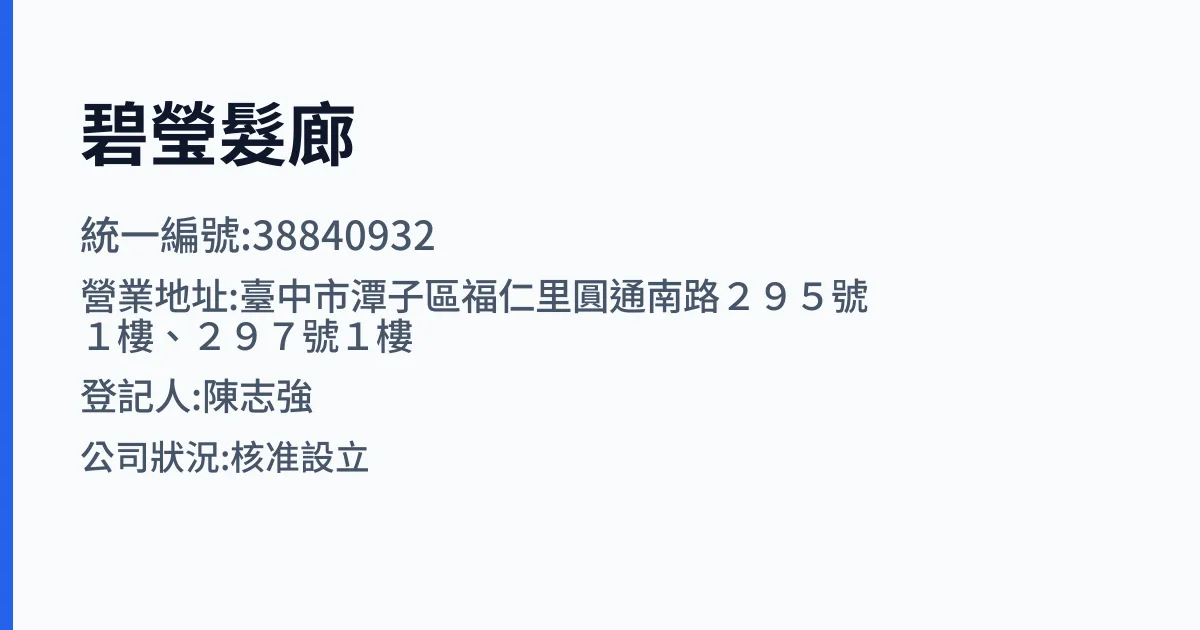 碧瑩髮廊 - 統編 38840932(臺中市) 公司登記資料與營業項目詳細圖表