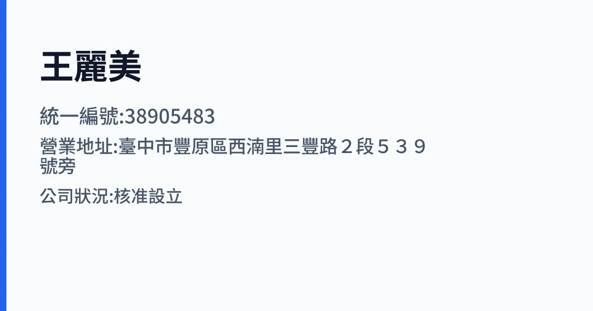 王麗美 - 統編 38905483(臺中市) 公司登記資料與營業項目詳細圖表