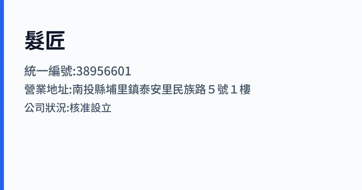 髮匠 - 統編 38956601(南投縣) 公司登記資料與營業項目詳細圖表